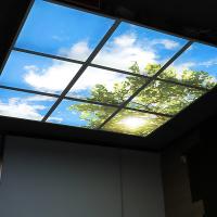 China 24 Inch 40W Smart Dimmable LED Panel Light with Blue Sky Effect - 50,000hr Lifespan, 120° Beam Angle for sale