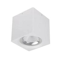 China 12W LED Gimbal Downlight 24° Beam Angle 50000h Lifespan Ceiling Mounted for sale
