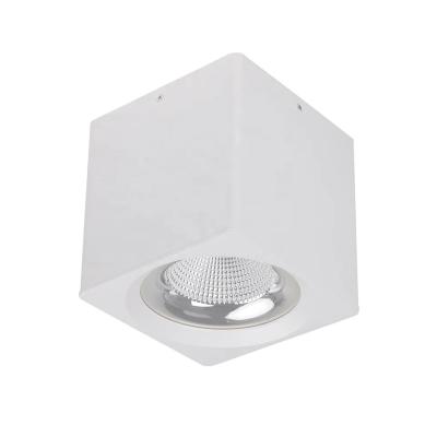 China 12W LED Gimbal Downlight 24° Beam Angle 50000h Lifespan Ceiling Mounted for sale