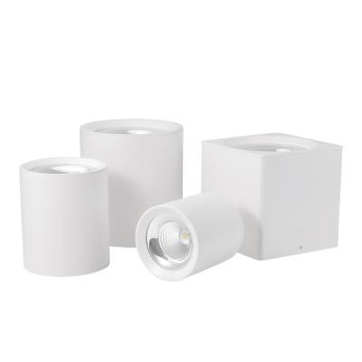China 12W LED Gimbal Downlight 24° Beam Angle 50000 Hours Aluminum Recessed Ceiling Light for sale