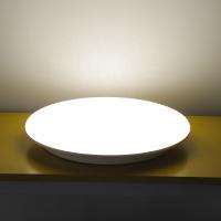 China IP65 Waterproof LED Ceiling Light 18W 24W 30W Surface Mount Round Lamp 50000 Hours for sale