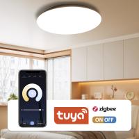China 20W IP66 LED Ceiling Lamp with 5-Year Warranty - 100V-220V Voltage, φ255mm-380mm Sizes for sale