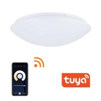 China 410mm PMMA LED Ceiling Lamp 20W 2000lm Dimmable Circular Panel Light with 5-Year Warranty for sale