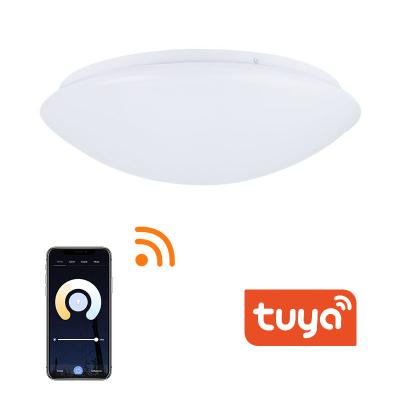China 410mm PMMA LED Ceiling Lamp 20W 2000lm Dimmable Circular Panel Light with 5-Year Warranty for sale