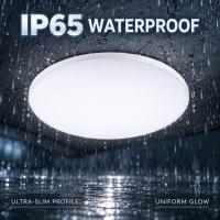 China IP65 Waterproof LED Ceiling Light with 5 Years Warranty and 120LM/W Lumen Efficiency for Bathroom and Laundry Room for sale