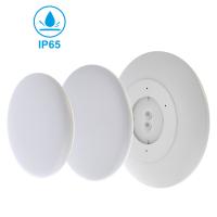 China Slim Lightweight PC Cover LED Ceiling Light, IP65 Waterproof, Modern Surface Mounted Lighting for sale