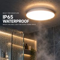 China IP65 Waterproof LED Ceiling Light with PC Cover for Uniform Illumination, Surface Mounted LED Ceiling Lamp for Wet Areas for sale