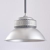 China Economy Style High Bay Led Lights 220V Ceiling 100w High Bay Light for sale