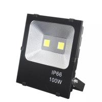 China 110V Outside LED Flood Lights RoHS Warm White RGB Led Flood Light for sale