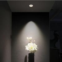 China 75mm Embedded Anti Glare Led Downlights Cut Out COB LED Downlight for sale
