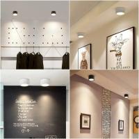 China Surface Mounted LED Ceiling Downlights 12W Ceiling Mounted Downlight for sale