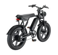 China Directly 48V 500W Brushless Electric Motor For Mountain Bikes With Front Fork Suspension for sale