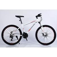 China Experience the Thrill 24 Speed Fat Mountain Bike with Double Wall Rim and Big Tires for sale