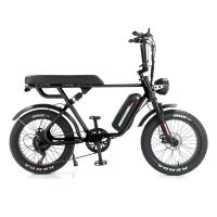 China Full Suspension Rear Hub Motor Electric Bike With 48v 1000w Power And REMOVABLE BATTERY for sale