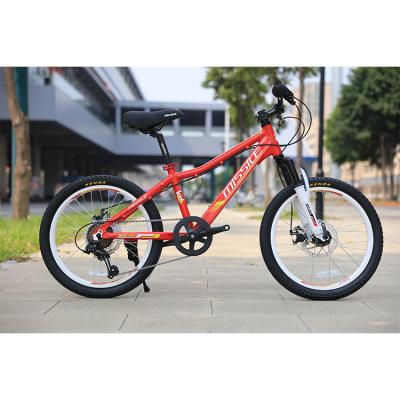 China Girls Steel Frame Child Bike With Suspension Fork And NO Training Wheels for sale