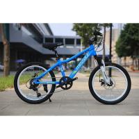 China Foldable 20 Inch Mountain Bike For Kids Steel Fork And Outdoor Exploration for sale