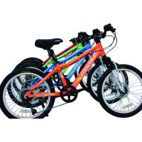 China Steel Frame Child Bike Tricycle For Kids Mountain Exploration And Adventure for sale