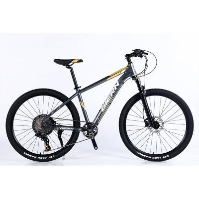 China Manufacture 12 Speed Gears Mountain Bike with Double Wall Rim and Classic Design for sale