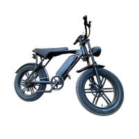 China Electric Fat Tire Snow Beach E-Bike With Double Disc Brake And Lithium Battery Supply for sale