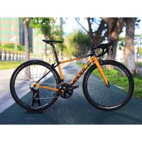 China Carbon Roadbike Lightweight Disc Brake Bicycle 8.5 Kg Without Pedals With Carbon Frame for sale