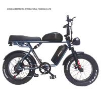 China Custom 48V 1000W Electric Bike 20 Inch Fat Tire Ebike With And 52V Lithium Battery Charger for sale