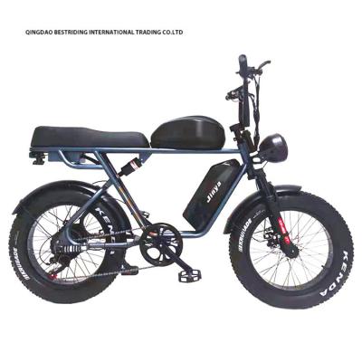 China Custom 48V 1000W Electric Bike 20 Inch Fat Tire Ebike With And 52V Lithium Battery Charger for sale