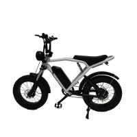 China Rear Hub Motor 20*4.0'' Fat Tire Electric Bicycle E-Bike For Market for sale