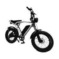 China 1460*320*840mm REMOVABLE BATTERY Hot E-Bike Fat Tire Mountain Bike Electric Bicycle for sale