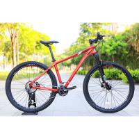 China Custom Exercise Bike Sizes 29 Inch Mountain Bike with 22 Speed Gears and Smooth Welds for sale