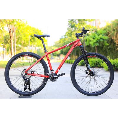 China Custom Exercise Bike Sizes 29 Inch Mountain Bike with 22 Speed Gears and Smooth Welds for sale