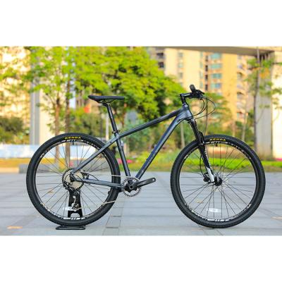 China 29 Inch Aluminum Full Suspension Mountain Bike with SMN MT200 Hydraulic Disc Brake for sale