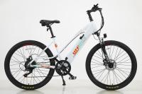 China 16 Inches Electrically-powered collapsible trekking bike perfect two-wheel scooter solution for travel and easy storage for sale