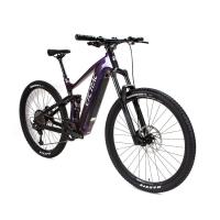China Customized Portable Electric Bike on 2 Wheels with and Disc Brake 160mm Best Choice for sale