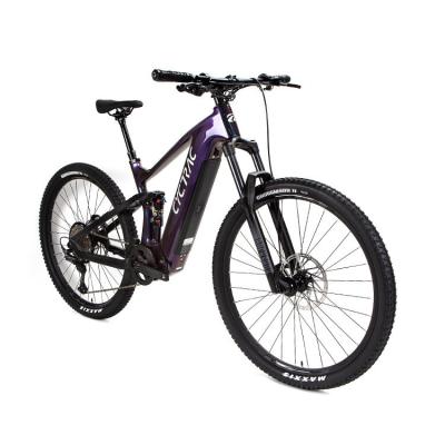 China Customized Portable Electric Bike on 2 Wheels with and Disc Brake 160mm Best Choice for sale