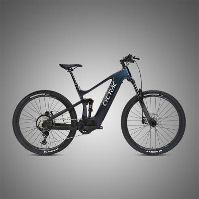 China Disc Brake 160mm Electric Foldable Bike with Custom Design and 38T Cranksets for sale