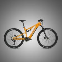 China 48V Mid Drive Carbon Fiber Thru-Axle Boost Frame Inner Cables Electric Bicycle EM6 Ebike for sale