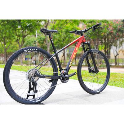 China 29 Inch Mountain Bike with 22 Speed Carbon Fiber Front Fork and Hydraulic Disc Brakes for sale
