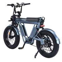 China Disc Brake 160mm Compact and Foldable Battery-Powered Cycle for Custom Long-Distance Travel for sale