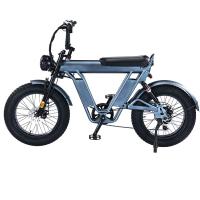 China Disc Brake 160mm Electric Foldable Bike with Matching Cranksets and Long-lasting Lithium Battery for sale