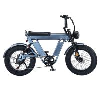 China Electrically-powered Collapsible Trekking Bike High Carbon Steel Frame and Mid Motor for Outdoor Activities for sale