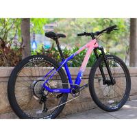 China 12 Speed Downhill Mountain Bike With Sunshine 11-50T Cassette And Aluminum Alloy Fork for sale