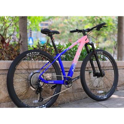 China 12 Speed Downhill Mountain Bike With Sunshine 11-50T Cassette And Aluminum Alloy Fork for sale