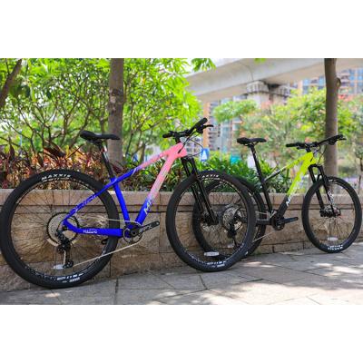 China 29 Inch Dual Suspension Mountain Bike with Maxxis Tires and PROWHEEL PMX 36T Chainring for sale
