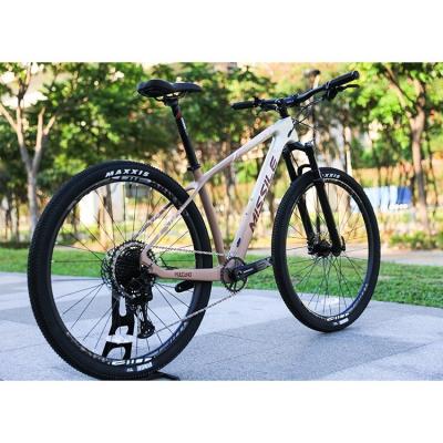 China Aluminum Alloy Fork 29 Inch Mountain Bike with Hydraulic Disc Brake and Front Suspension for sale
