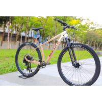 China 29 Inch MTB Mountainbike Carbon Fibre Hard Frame Mountain Bike Speed Bicicletas for sale