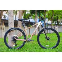 China Men's 29 Inch Mountain Bike with YBN S12S Chain and Carbon Fibre Frame for sale
