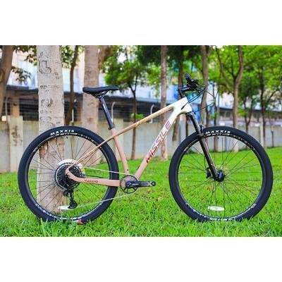 China Men's 29 Inch Mountain Bike with YBN S12S Chain and Carbon Fibre Frame for sale