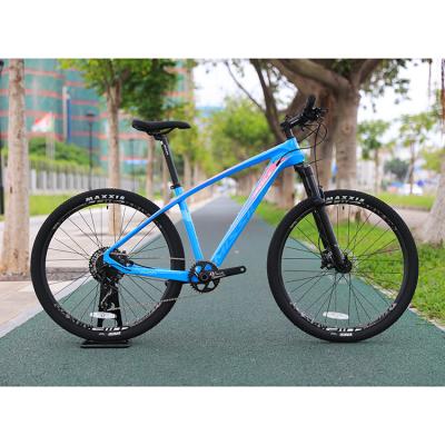 China 29 Inch MTB Carbon Fibre Mountain Bike With YBN S12S Chain And 160mm Brake Disc Pads for sale
