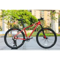 China Remote Lockout Oil Spring Fork 22 Speed Men's 29 inch Mountain Bike with Disc Brake for sale
