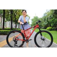 China Lightweight 27.5*15